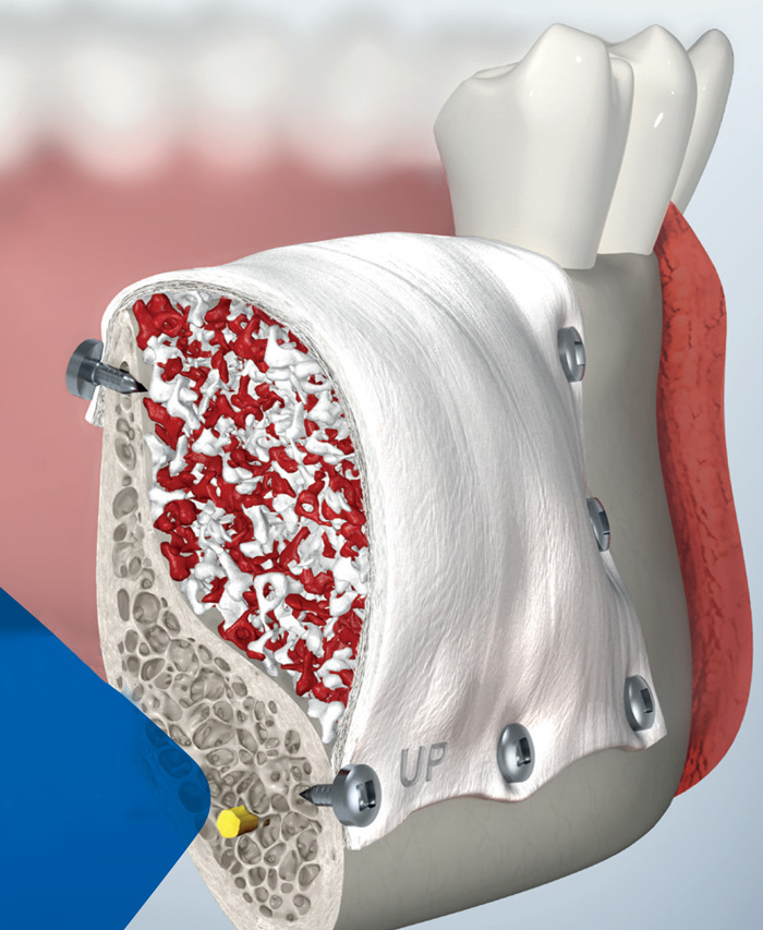 Home - European Dental School